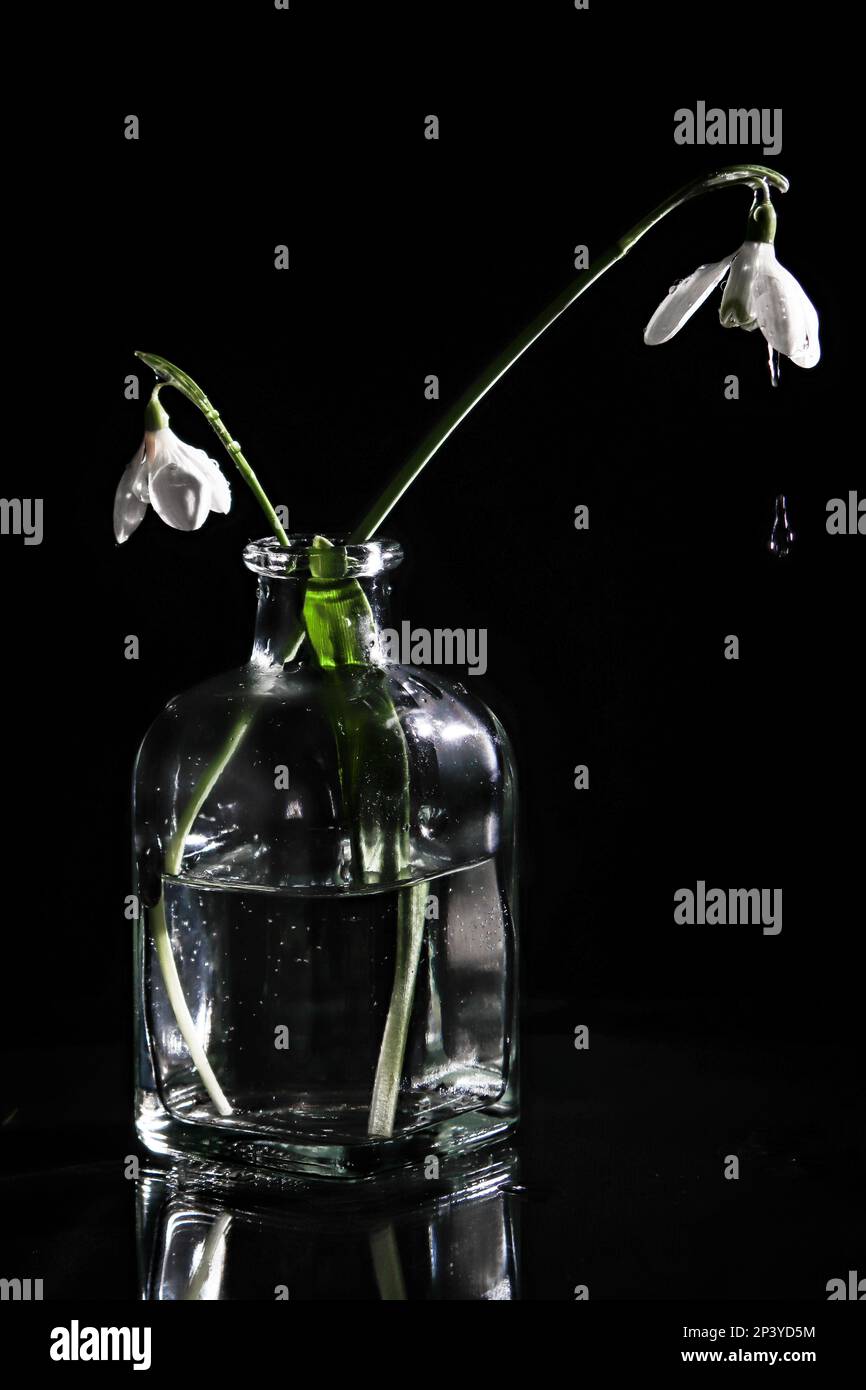 Teardrops macro hi-res stock photography and images - Alamy