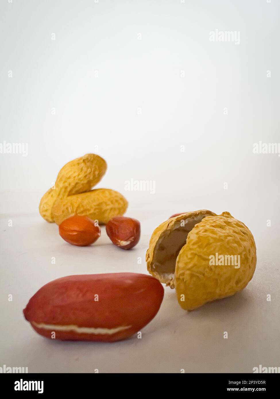 Monkey eating nuts hi-res stock photography and images - Alamy