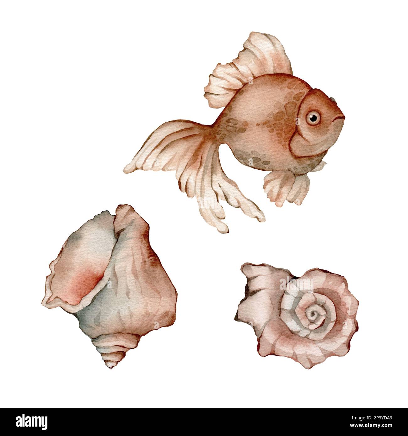 Set of sea animals poster. Blue, greeen, brown watercolor ocean shell ...