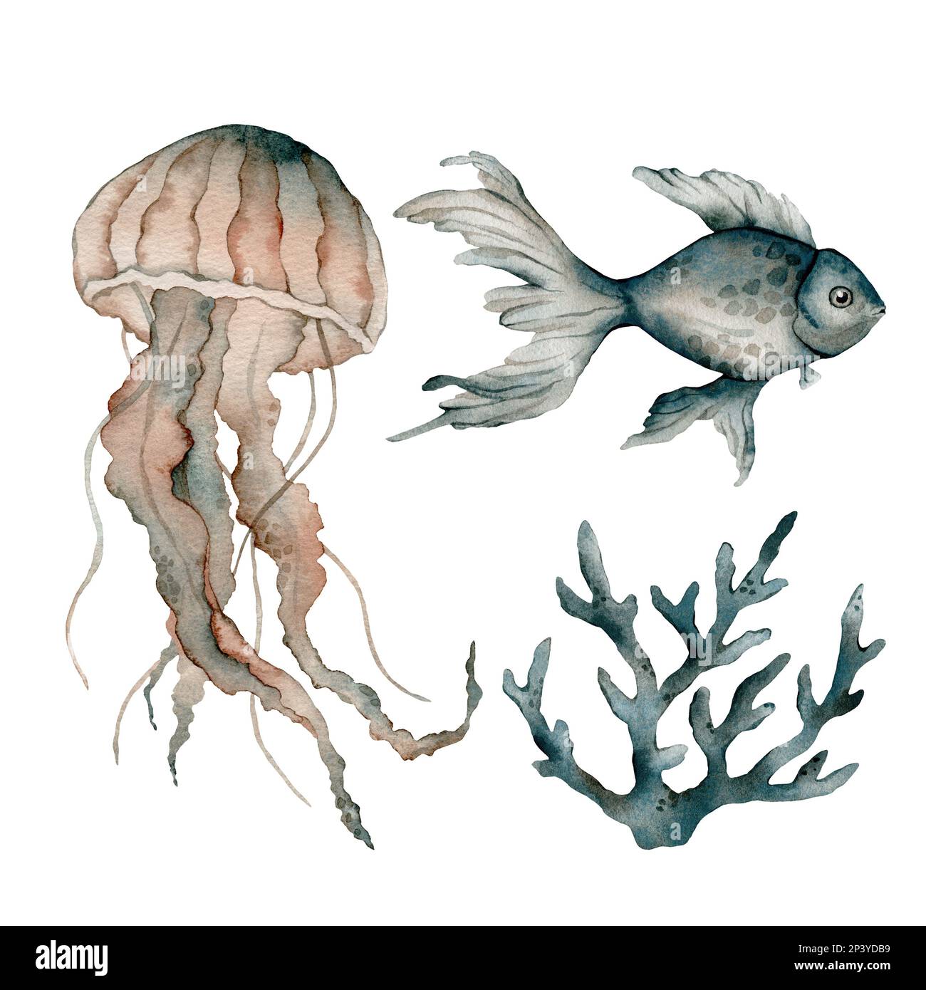 Set of sea animals poster. Blue, greeen, brown watercolor ocean shell ...