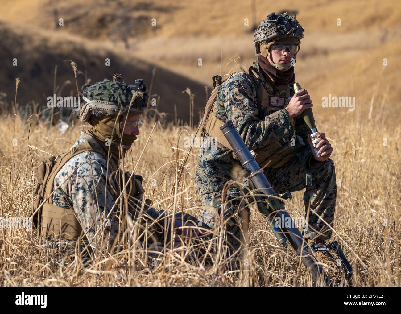 U.S. Marines from Battalion Landing Team 1/4, 31st Marine Expeditionary Unit, prepare to load a ...