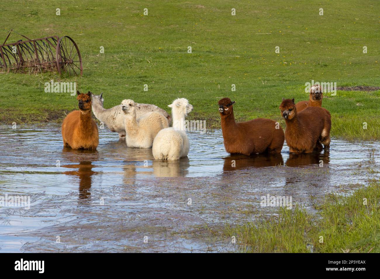 Sunny morning in bath hi-res stock photography and images - Alamy