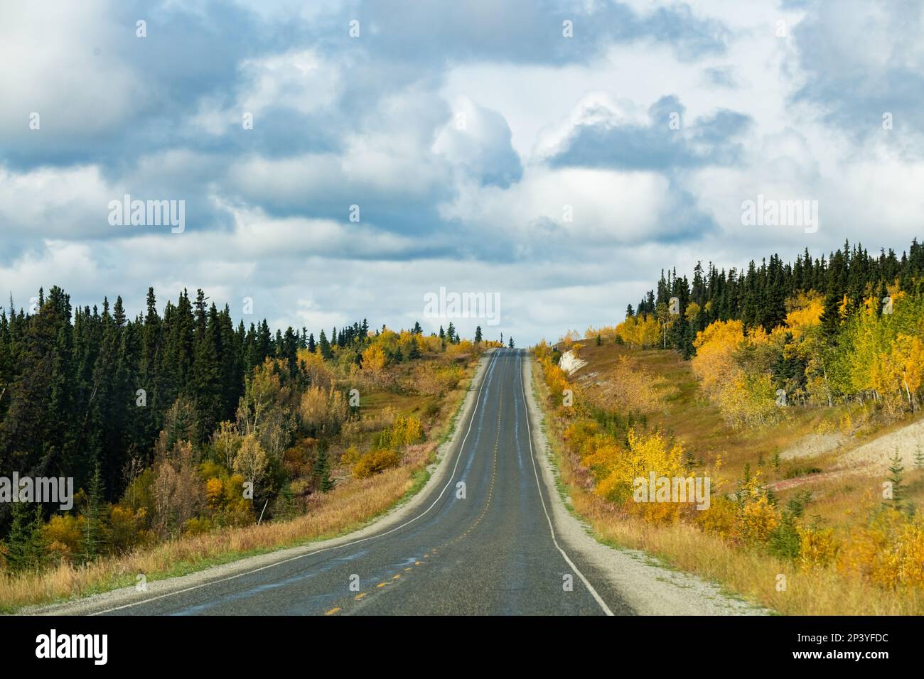 Road trip views in northern Canada during fall with colours flooding ...