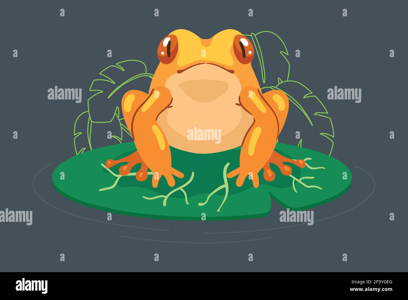 yellow frog amphibian in leaf Stock Vector Image & Art - Alamy