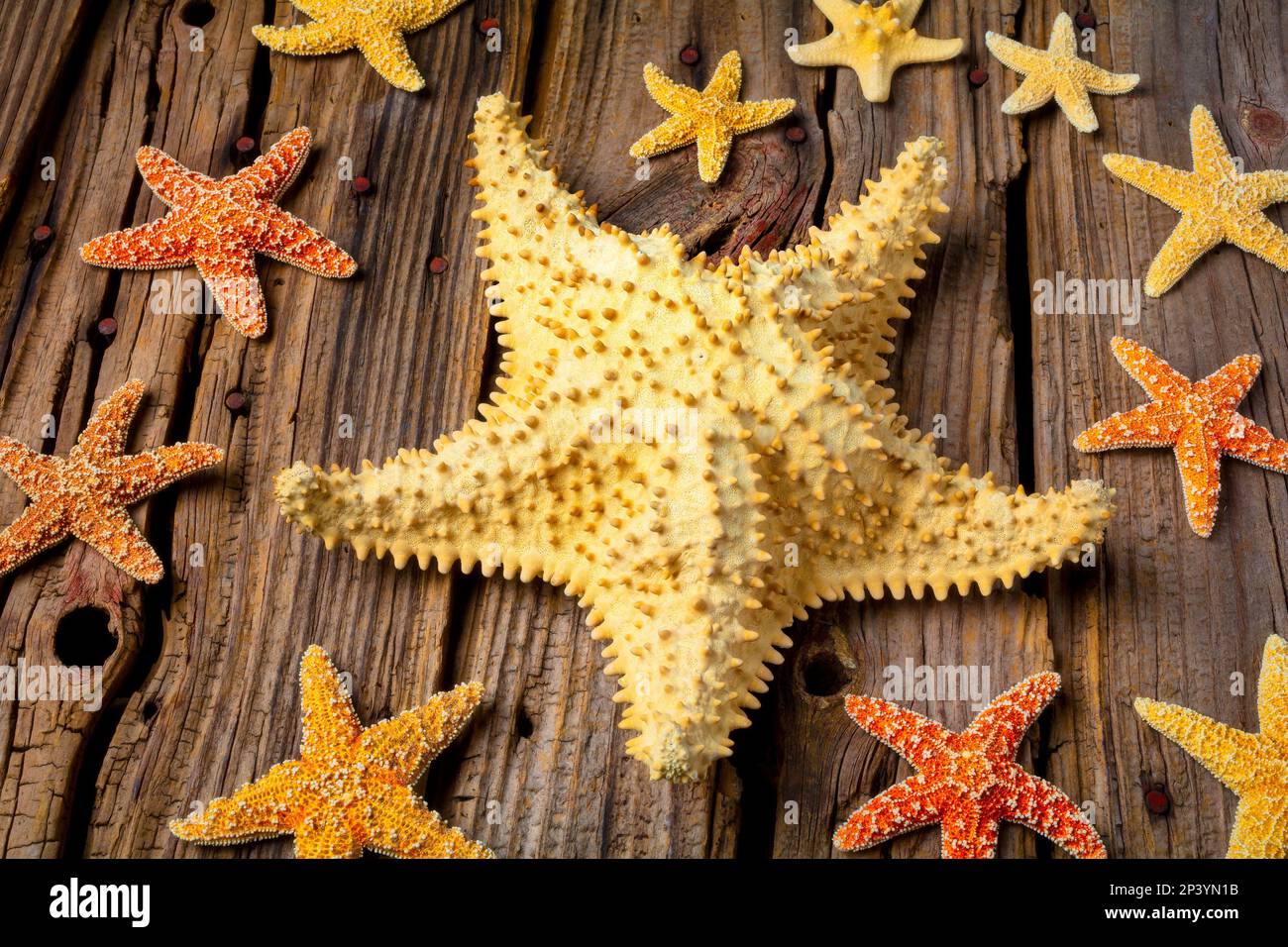 Smaller details hi-res stock photography and images - Alamy