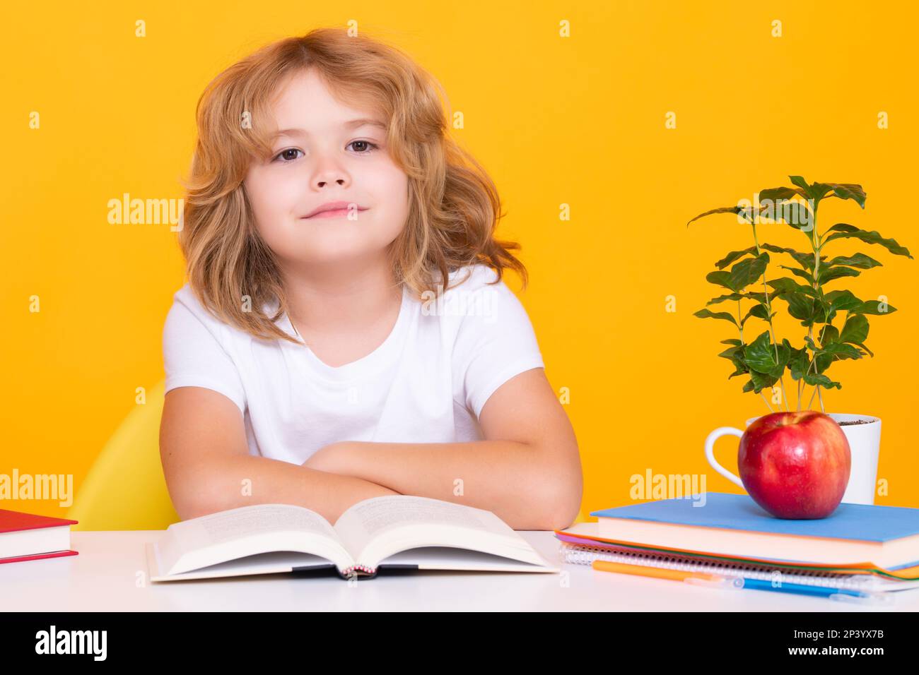 School kid reading book. School child student learning in class, study ...