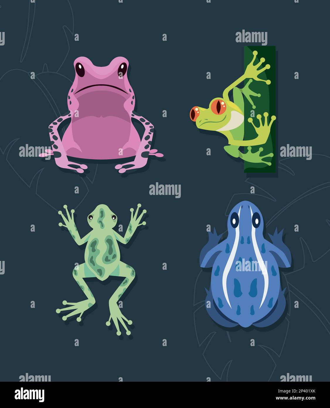 frogs amphibians animals Stock Vector Image & Art - Alamy