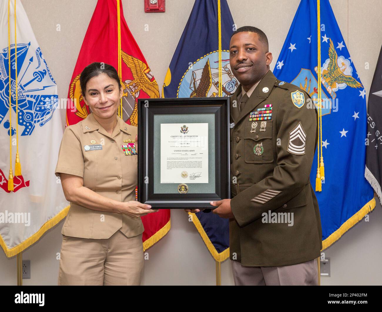 17 008 008 hi-res stock photography and images - Alamy