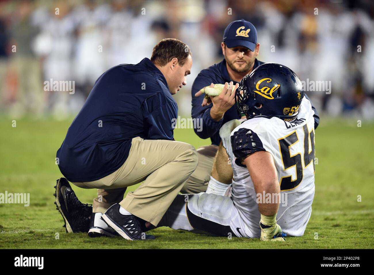 13 November 2014: California Golden Bears defensive tackle Austin Clark ...