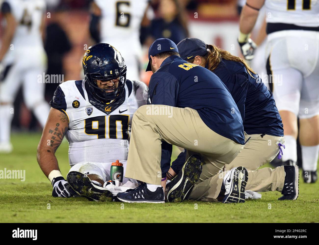 13 November 2014: California Golden Bears defensive tackle Mustafa ...