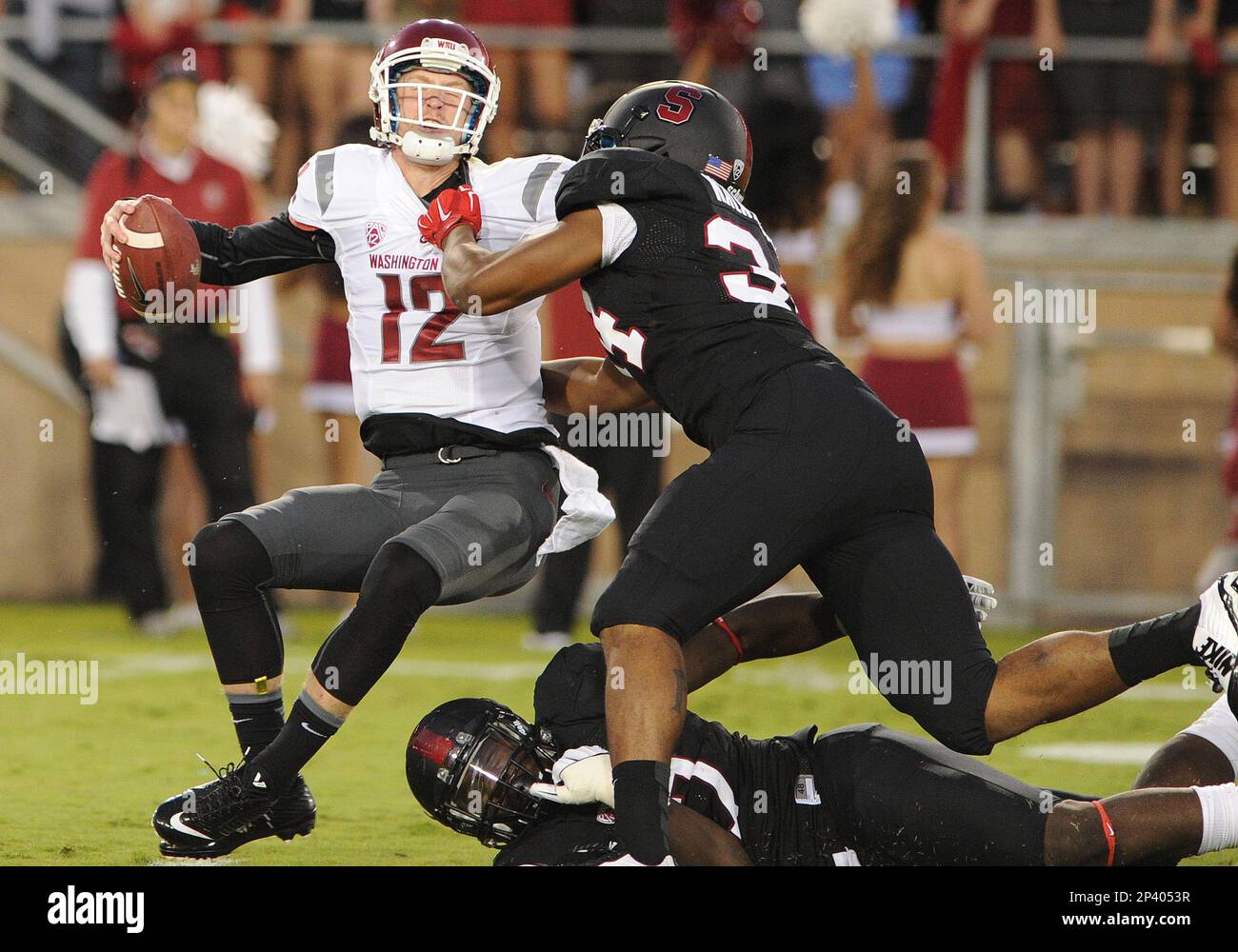 10 OCT 2014: Washington State Cougars quarterback Connor Halliday is ...
