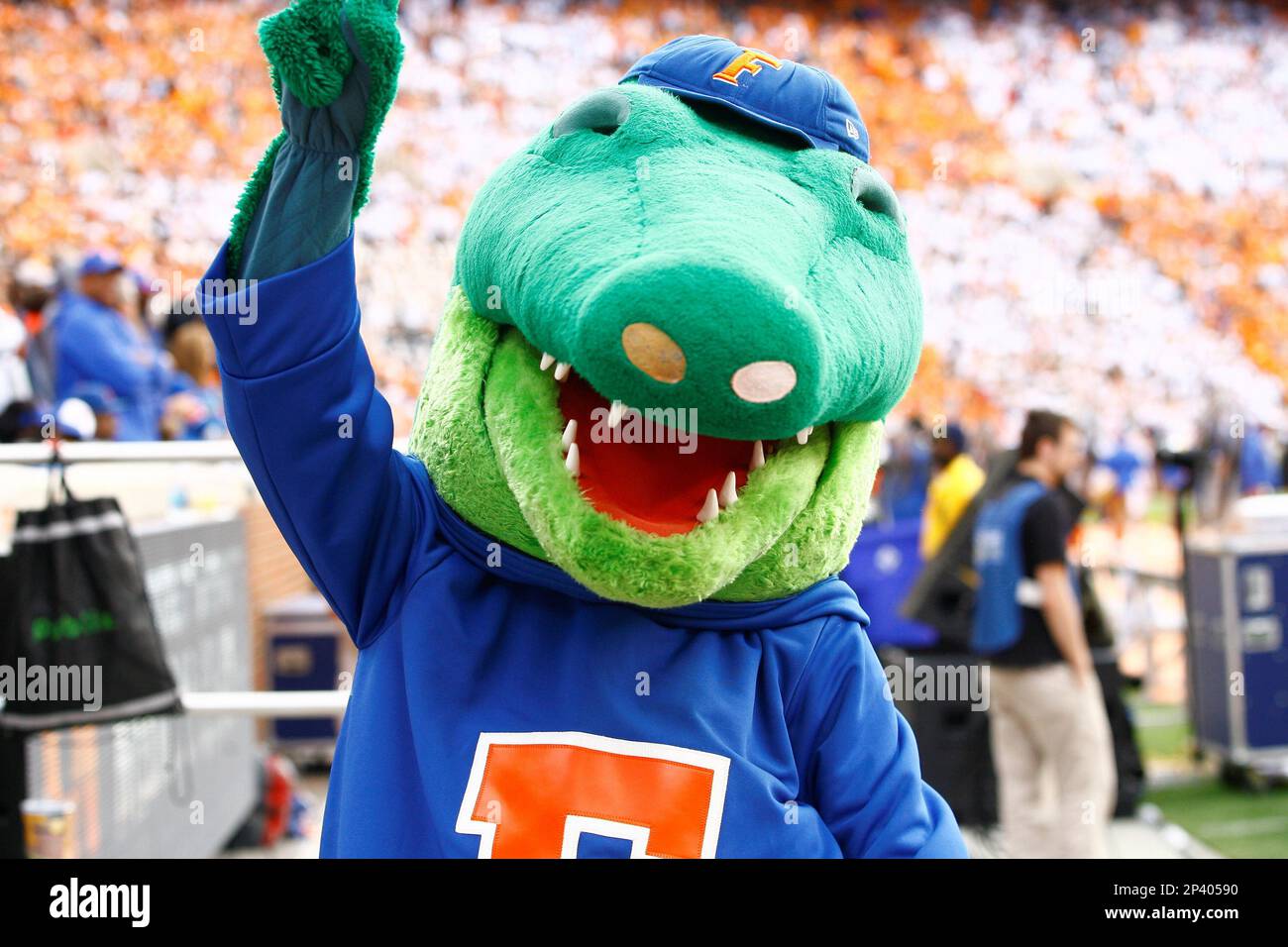 October 04 2014: The Florida Gators mascot. The Florida Gators defeated ...