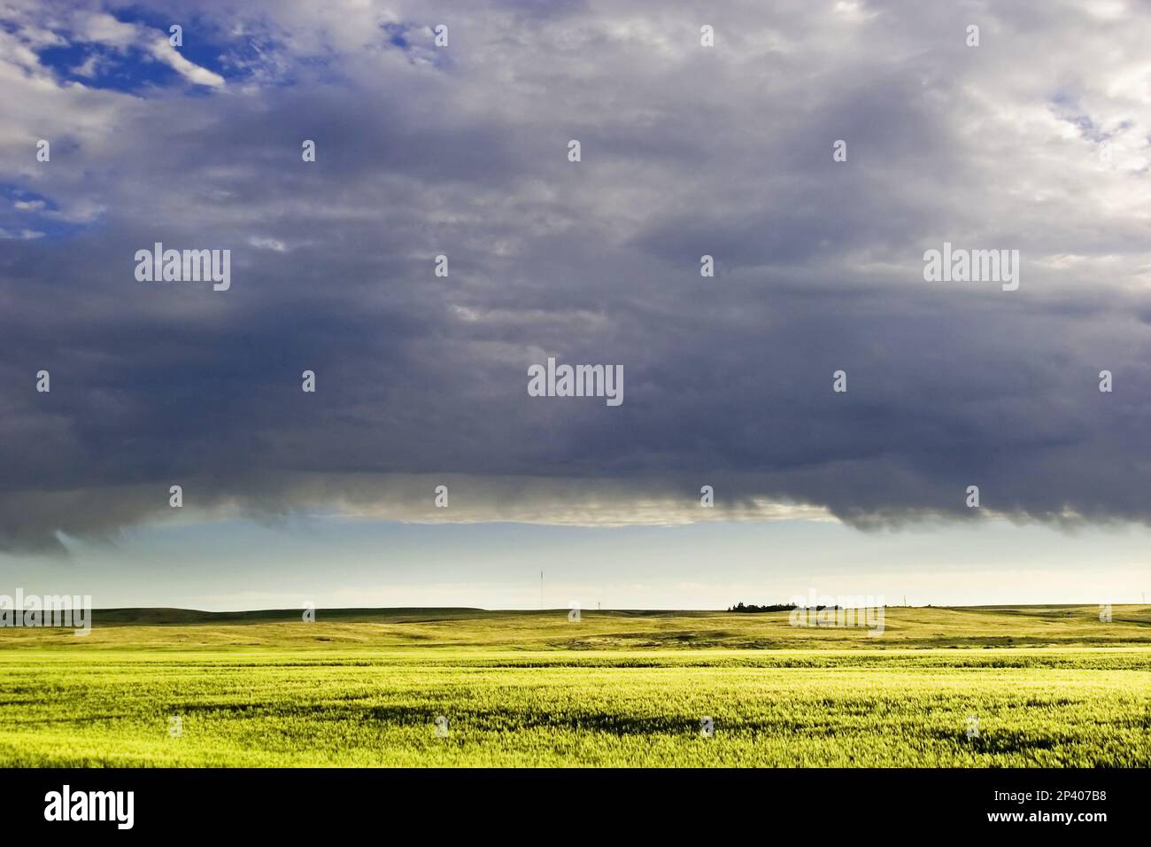 Open farming grassland scenery Stock Photo - Alamy