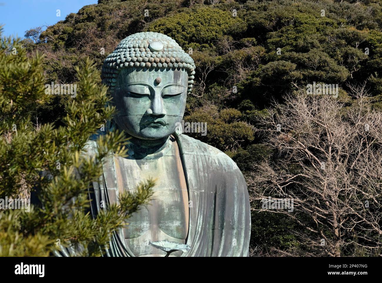 Great buddha in Kamakura, Japan Stock Photo - Alamy