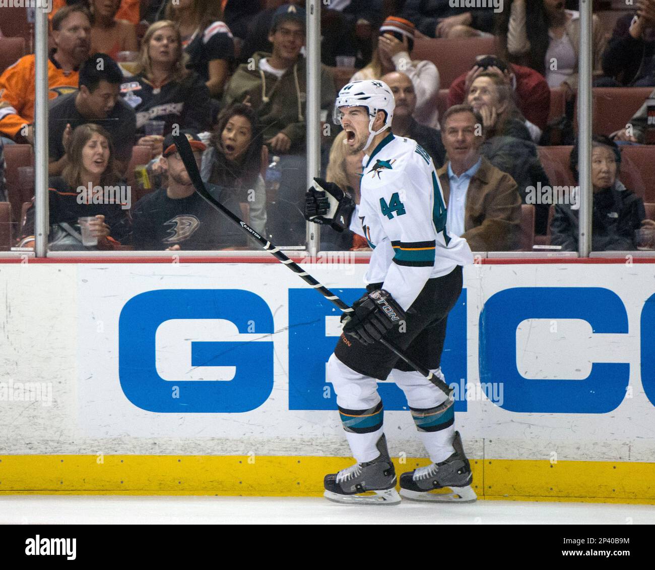 The Sharks' Marc-Edouard Vlasic shows his excitement after scoring a ...