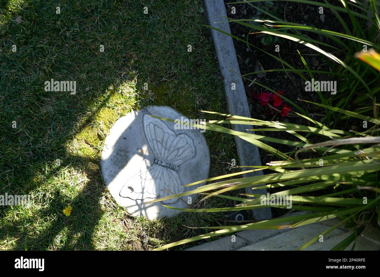 Jenni Rivera Head Found Pictures