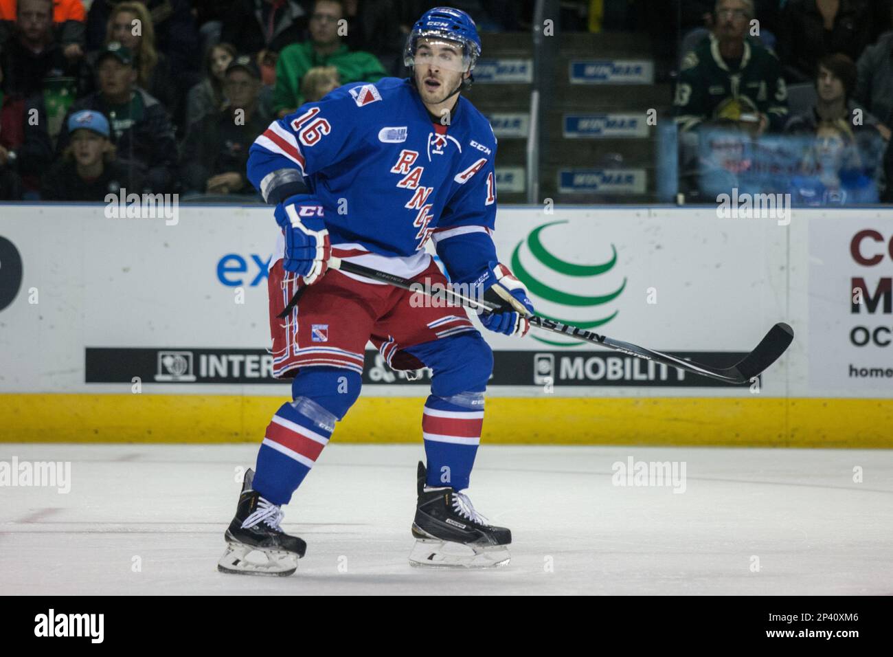 October 3, 2014. Brett Pederson (16) of the Kitchcner Rangers follows ...