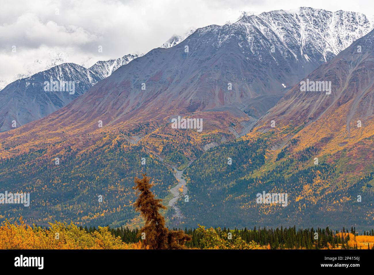 Incredible fall landscape near Haines Junction, Yukon Territory during ...