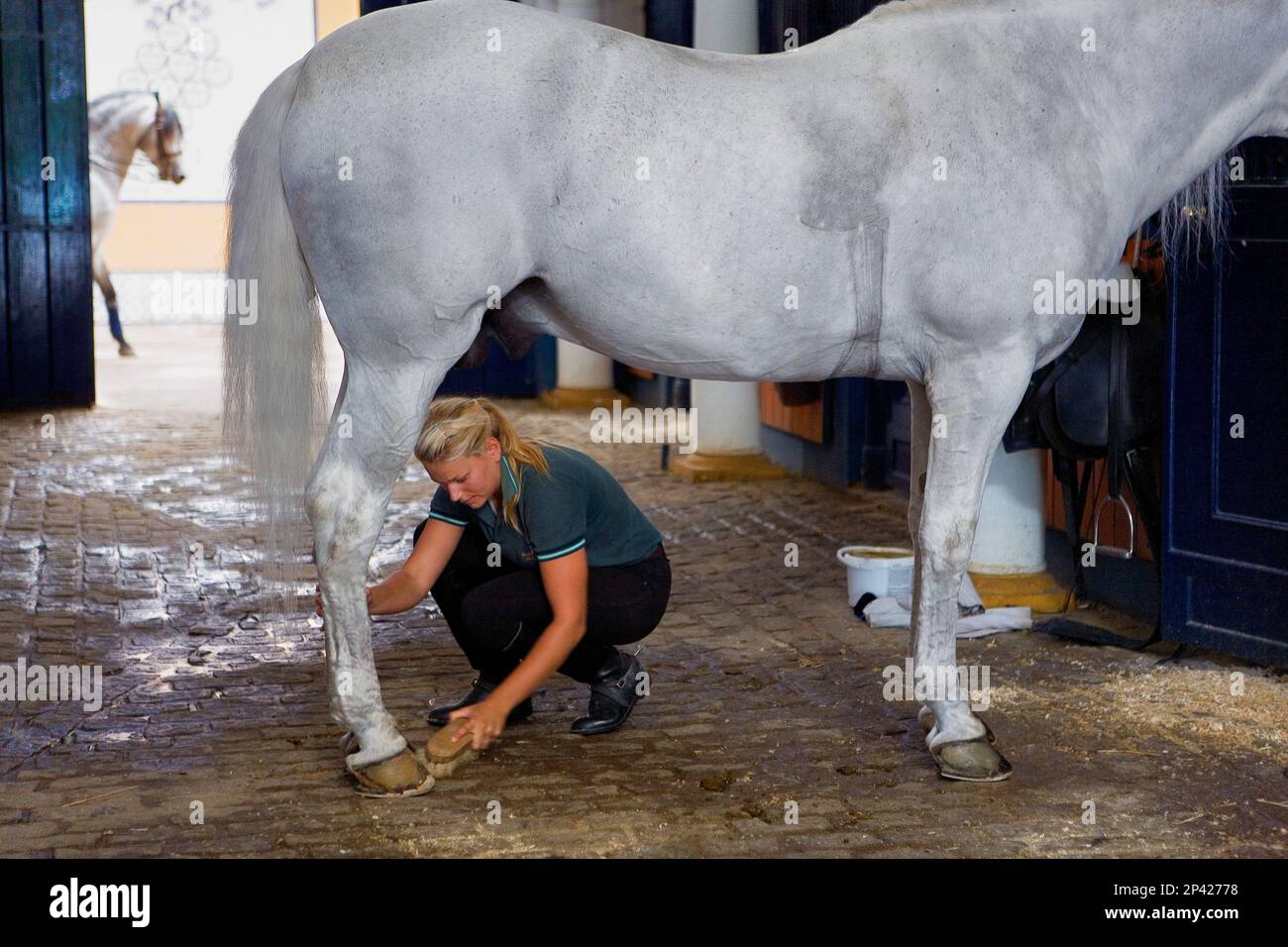 Riding stables of Royal Andalusian School of Equestrian Art. `Real ...