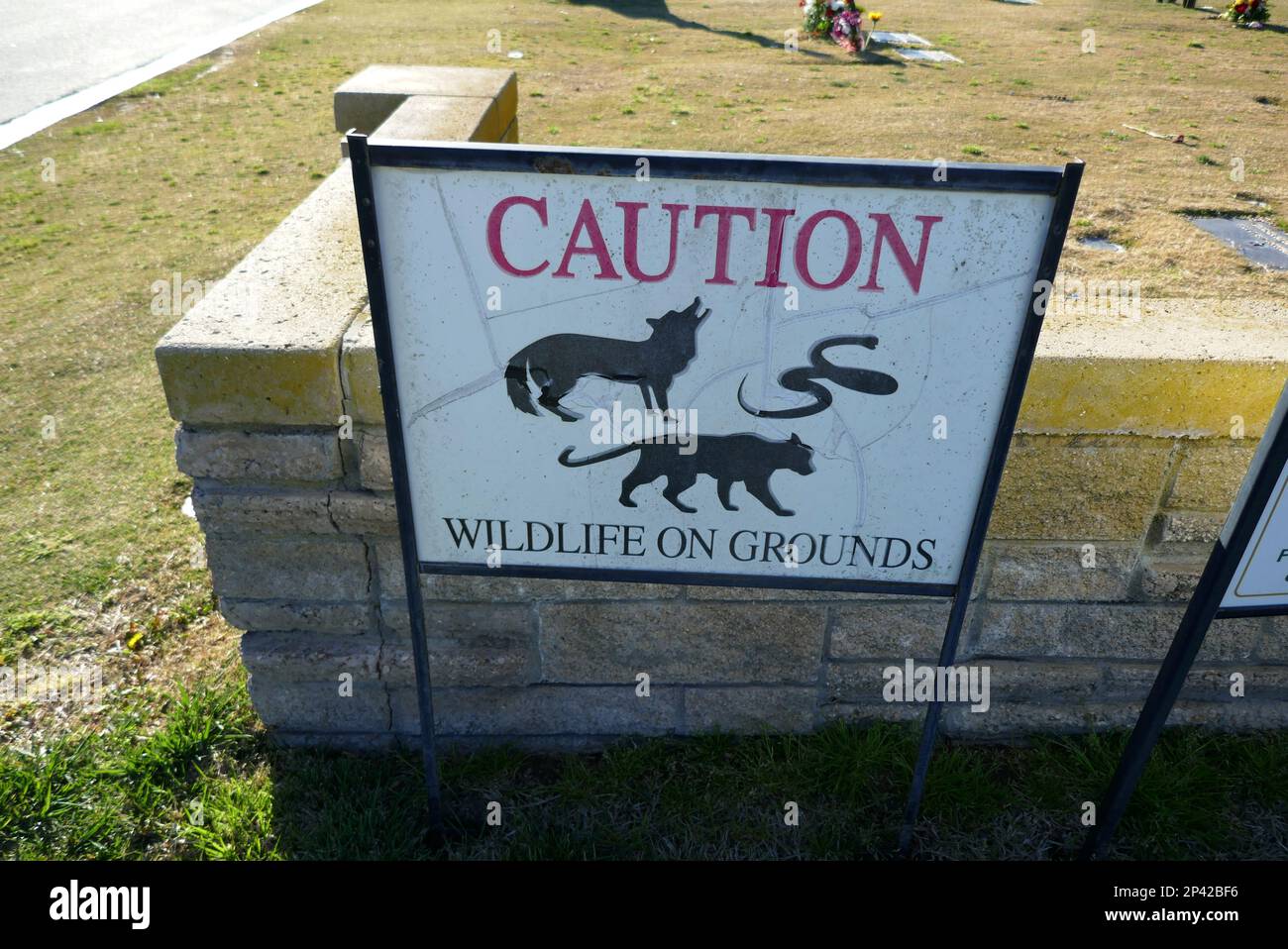 Long Beach, California, USA 2nd March 2023 Caution Wildlife on Grounds ...