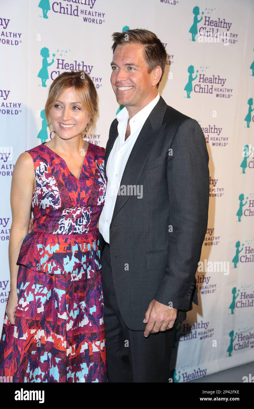 Photo by: JMA/STAR MAX/IPx10/29/14Sasha Alexander and Michael Weatherly ...