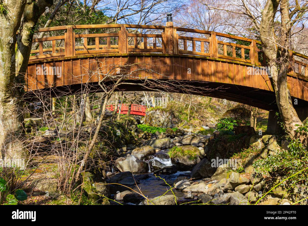 Atami Plum Garden or Atami Baien as it is known in Japan is a plum ...
