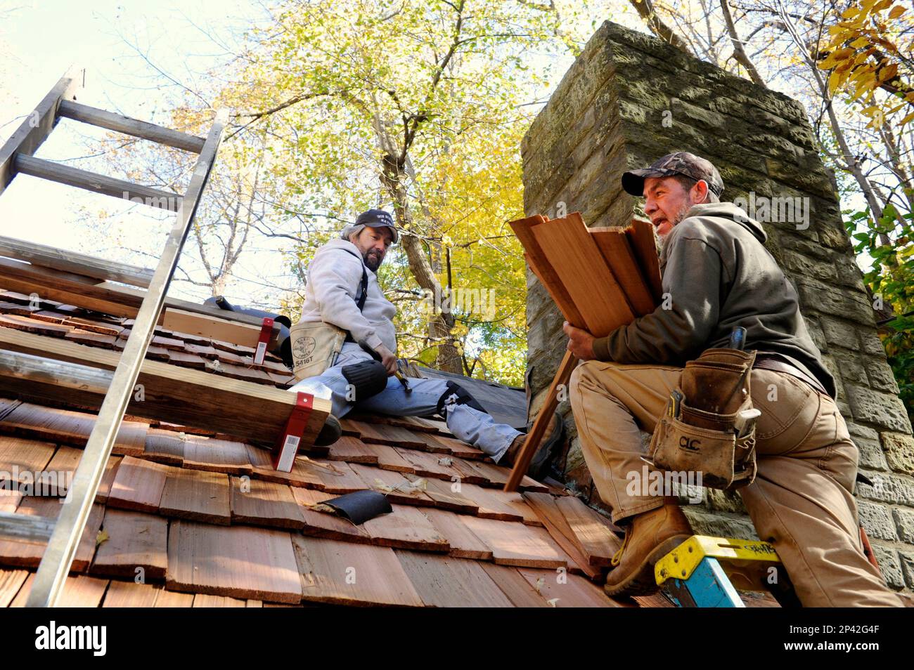 Getting ready for winter, Jeff Andrus (R) Aurora, Ky., carries up cedar ...