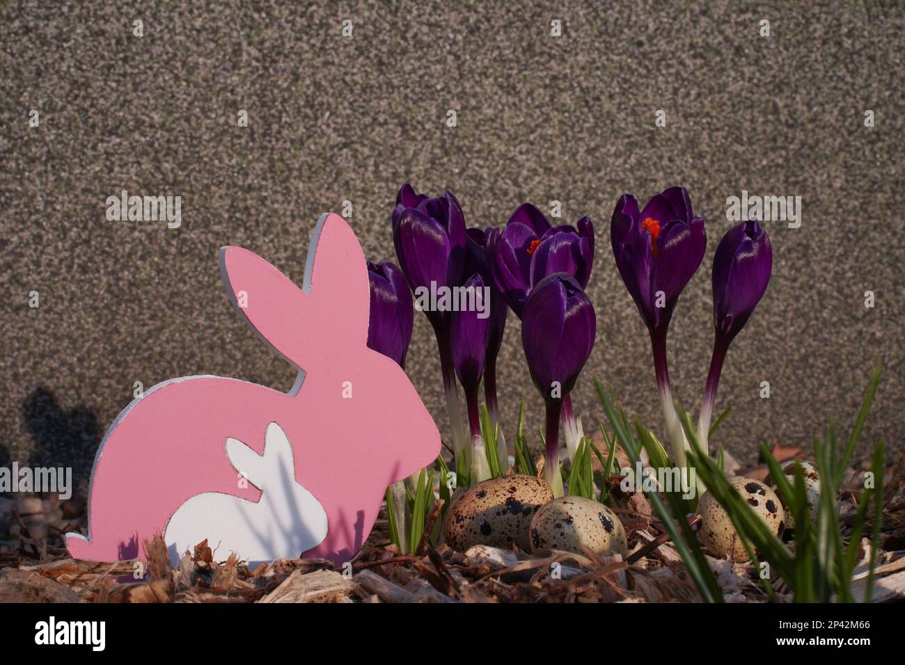 Easter bunny germany hi-res stock photography and images - Alamy