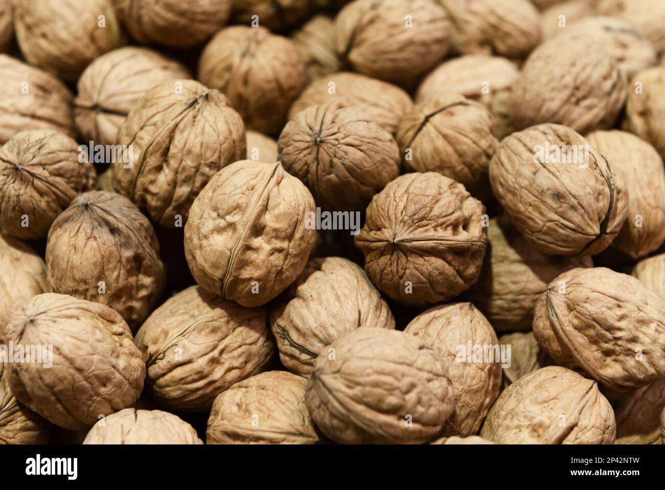 Walnuts in shell Stock Photo - Alamy