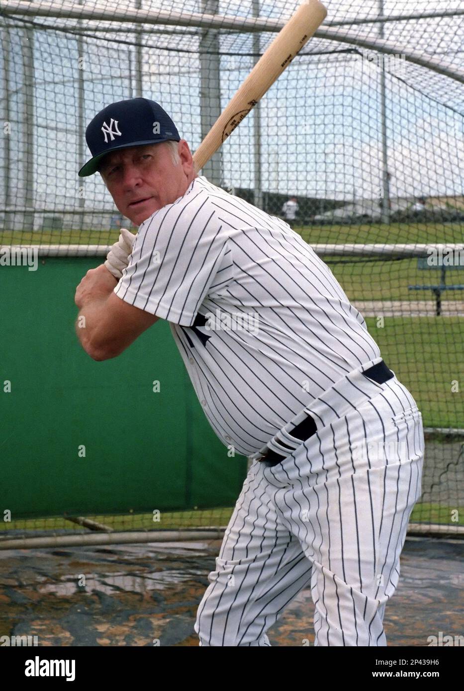 The Education Of A Baseball Player Mickey Mantle