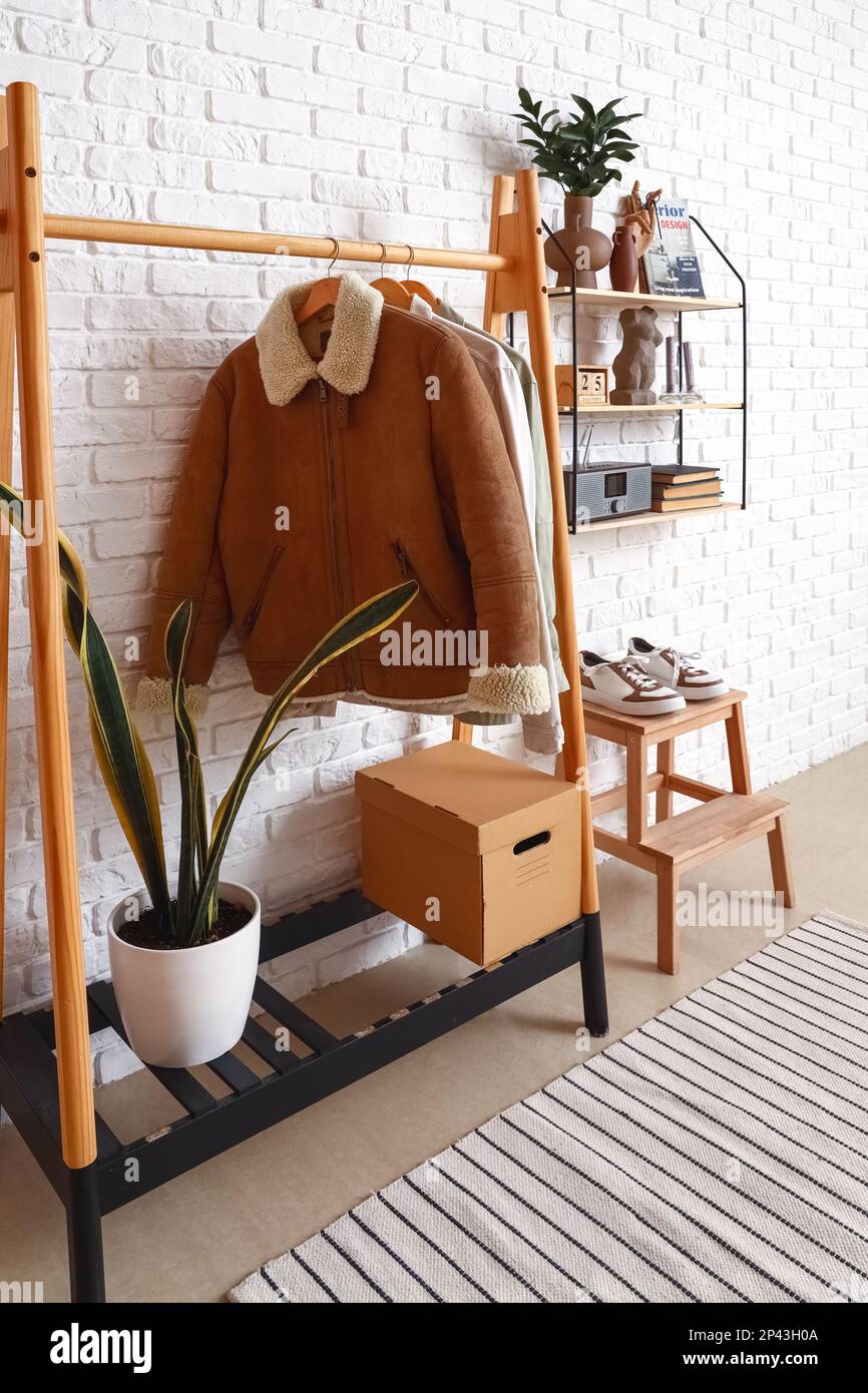 Interior of stylish hall with rack and shelf Stock Photo - Alamy