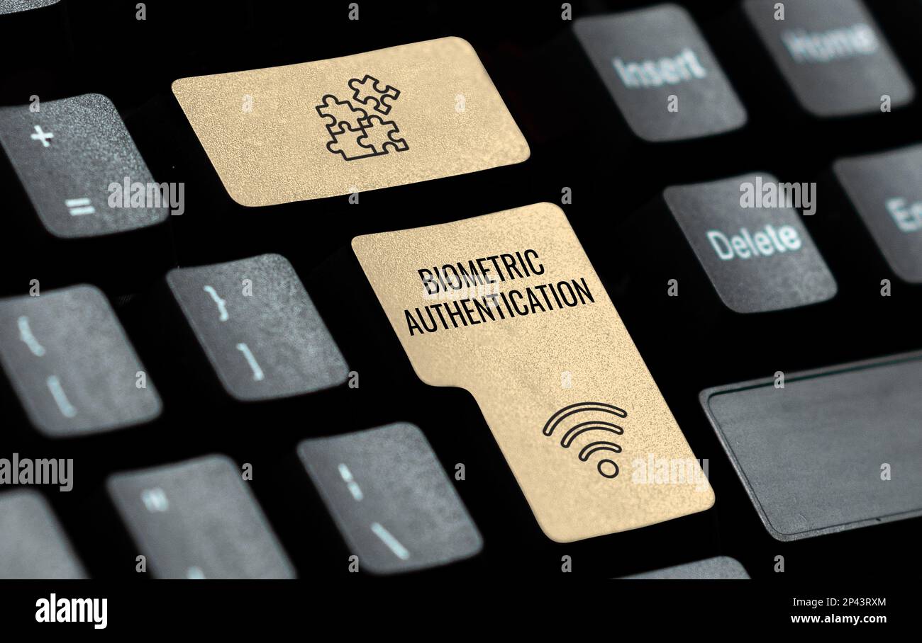 Text showing inspiration Biometric Authentication. Business overview ...