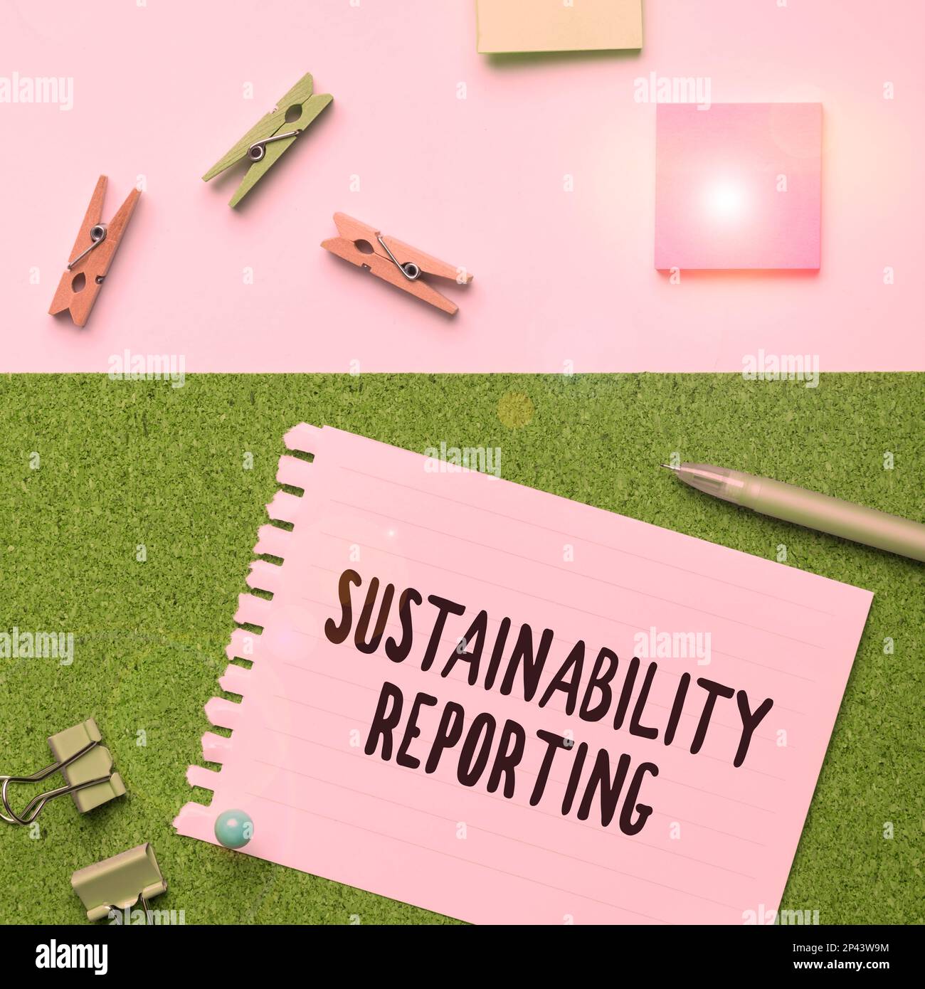 Text showing inspiration Sustainability Reporting. Word Written on give ...