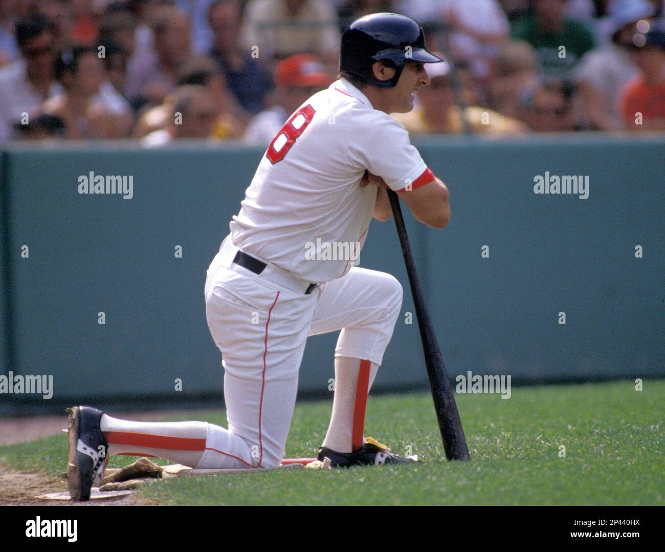 Boston Red Sox Carl Yastrzemski(8) during a game from this career at ...