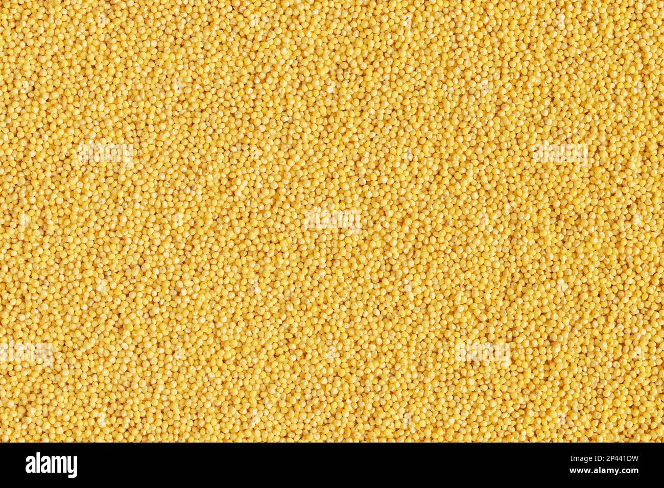 Yellow millet poloshed grain background, full frame Stock Photo - Alamy