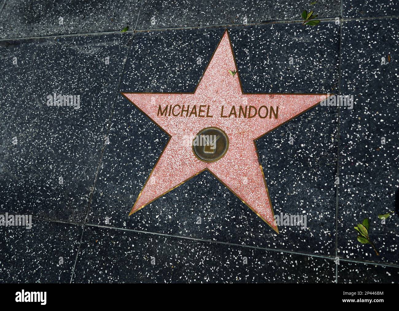 Los Angeles, California, USA 3rd March 2023 A general view of ...