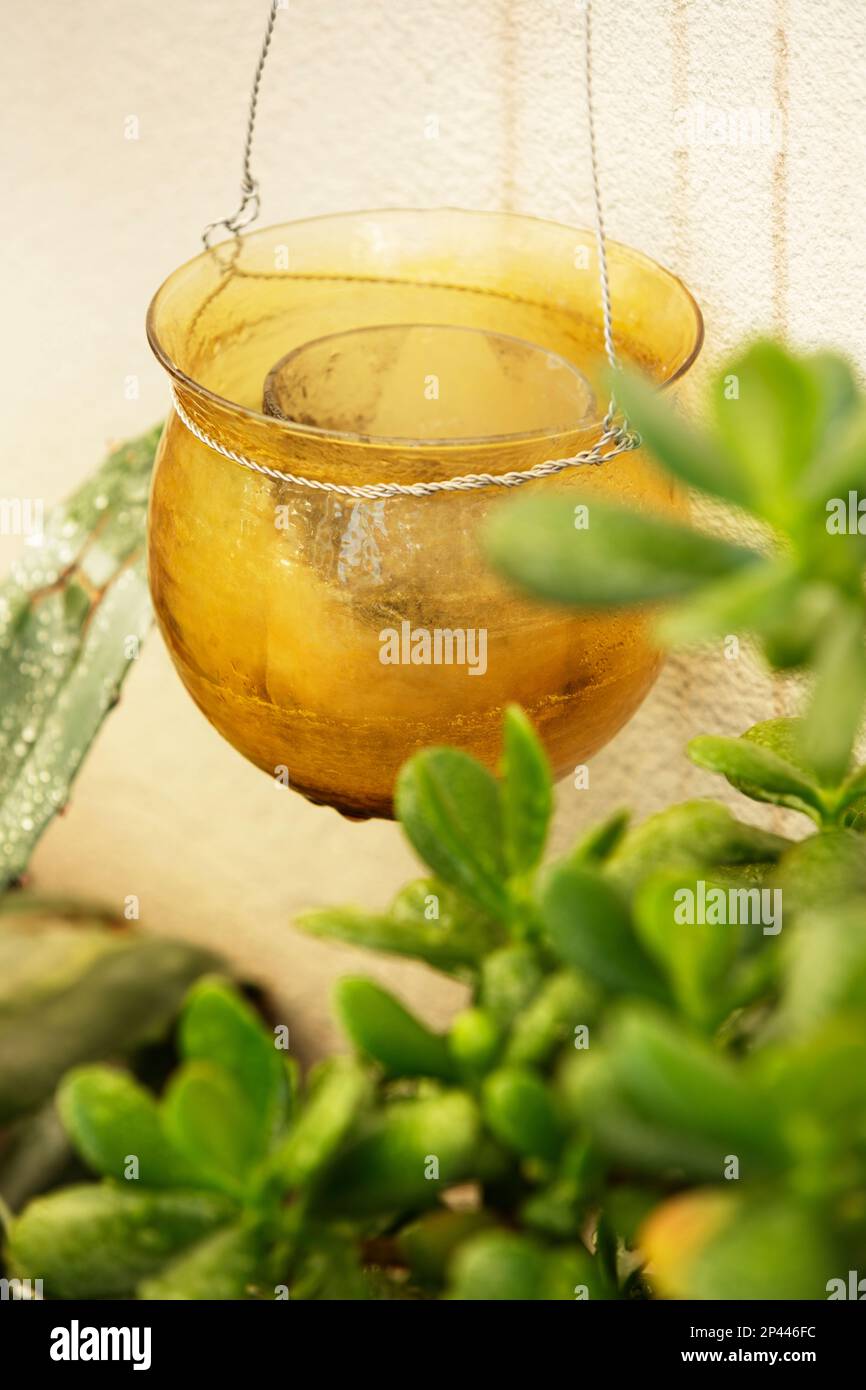 Light yellow jade hi-res stock photography and images - Alamy