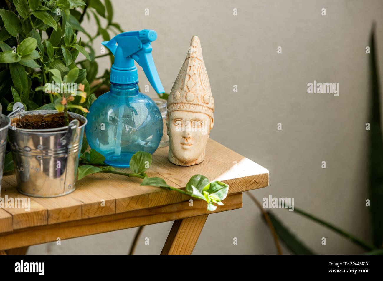 Decorative objects, plants and pots on an unvarnished wooden table ...