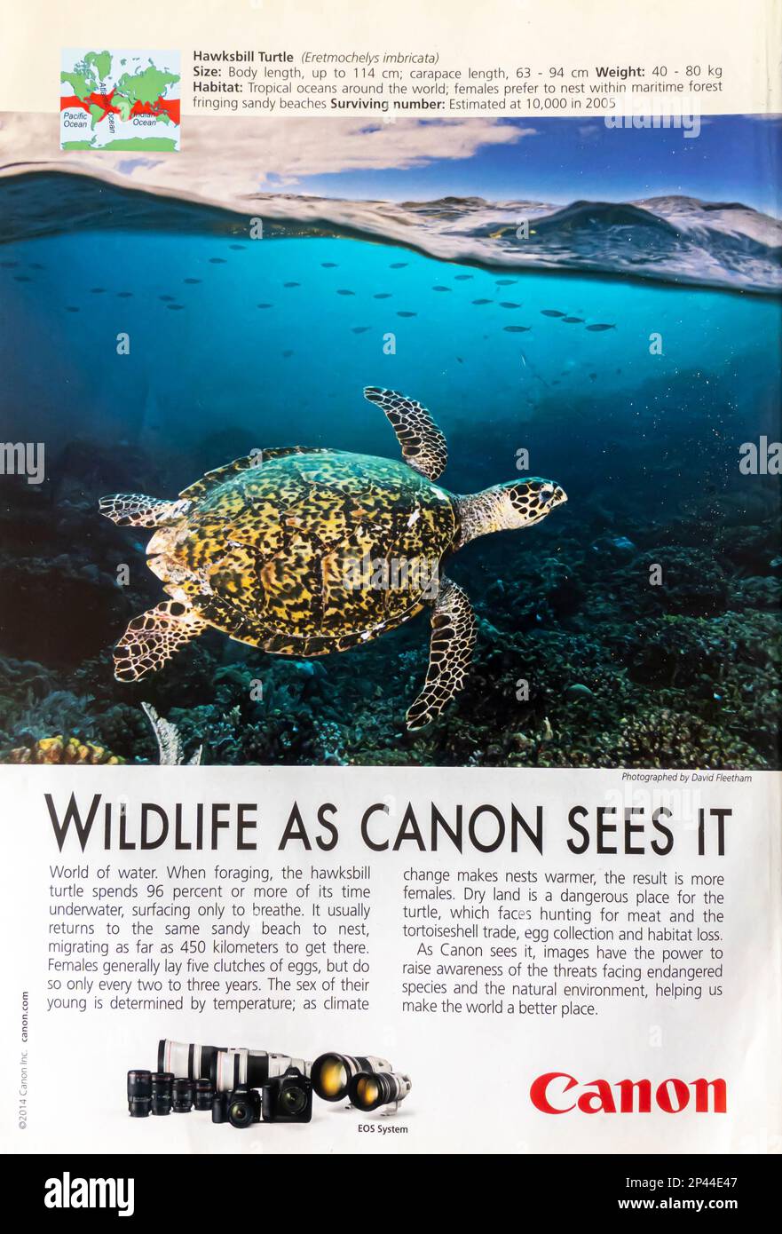 2000s magazine ads hi-res stock photography and images - Alamy