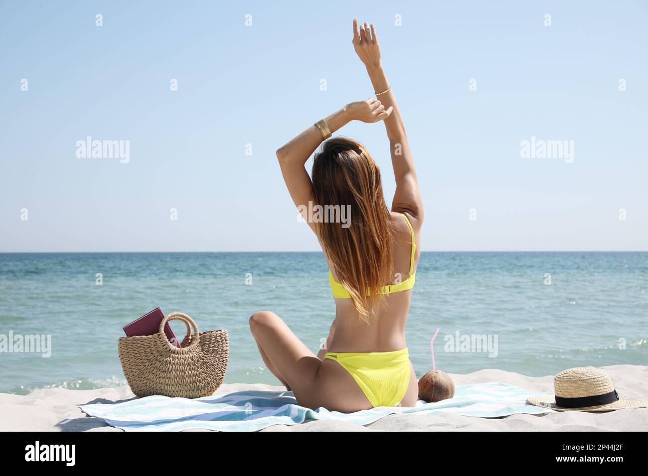 Bikini fashion back view hi-res stock photography and images - Alamy