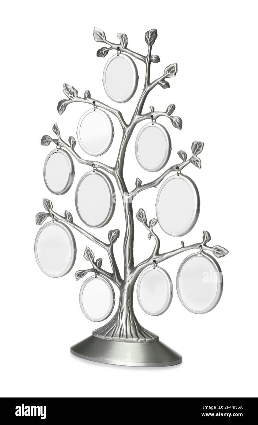 Blank metal family tree frame isolated on white Stock Photo - Alamy