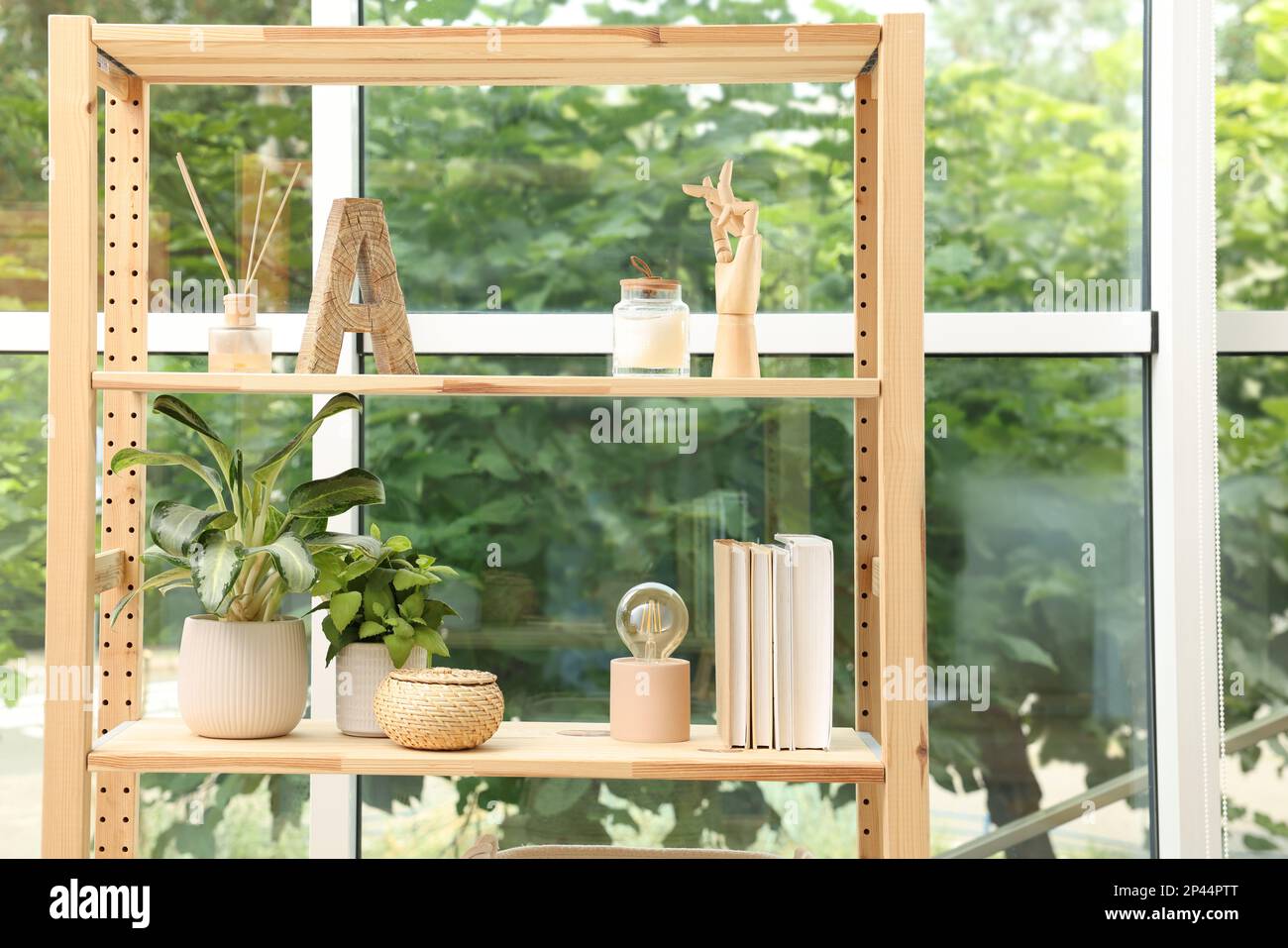 Wooden shelving unit with beautiful houseplants, books and air reed ...