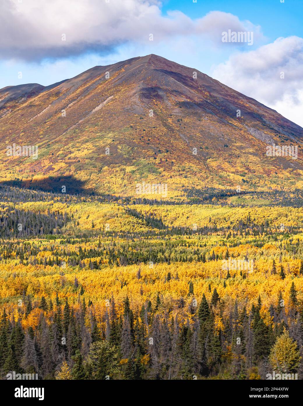 Incredible fall landscape in northern Canada during September with ...