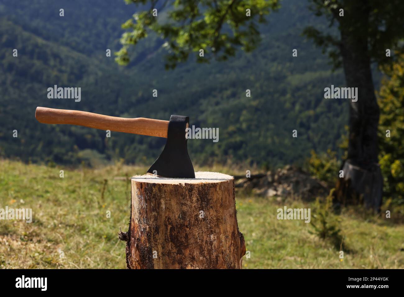 Tree stump with axe on hill. Professional tool Stock Photo - Alamy