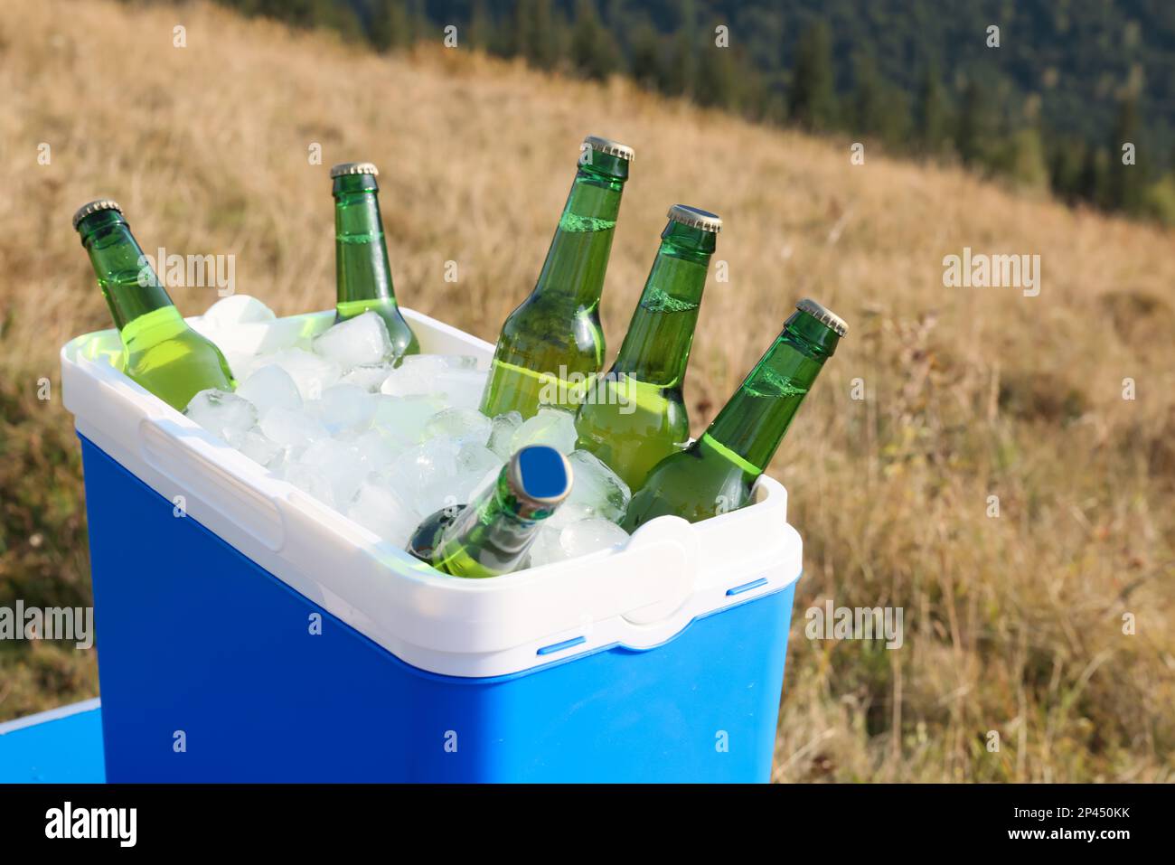 Cool box with bottles of beer in nature Stock Photo - Alamy