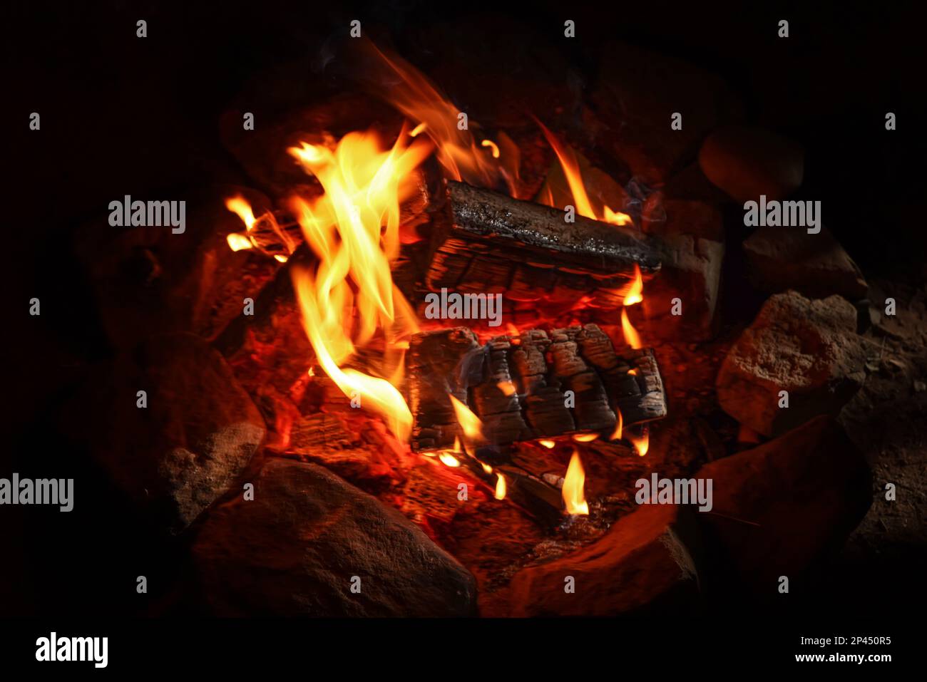 Beautiful campfire with burning firewood outdoors at night, closeup ...