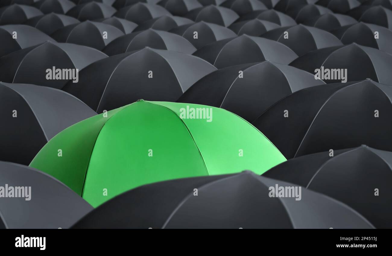 Green umbrella standing out of other ones Stock Photo - Alamy