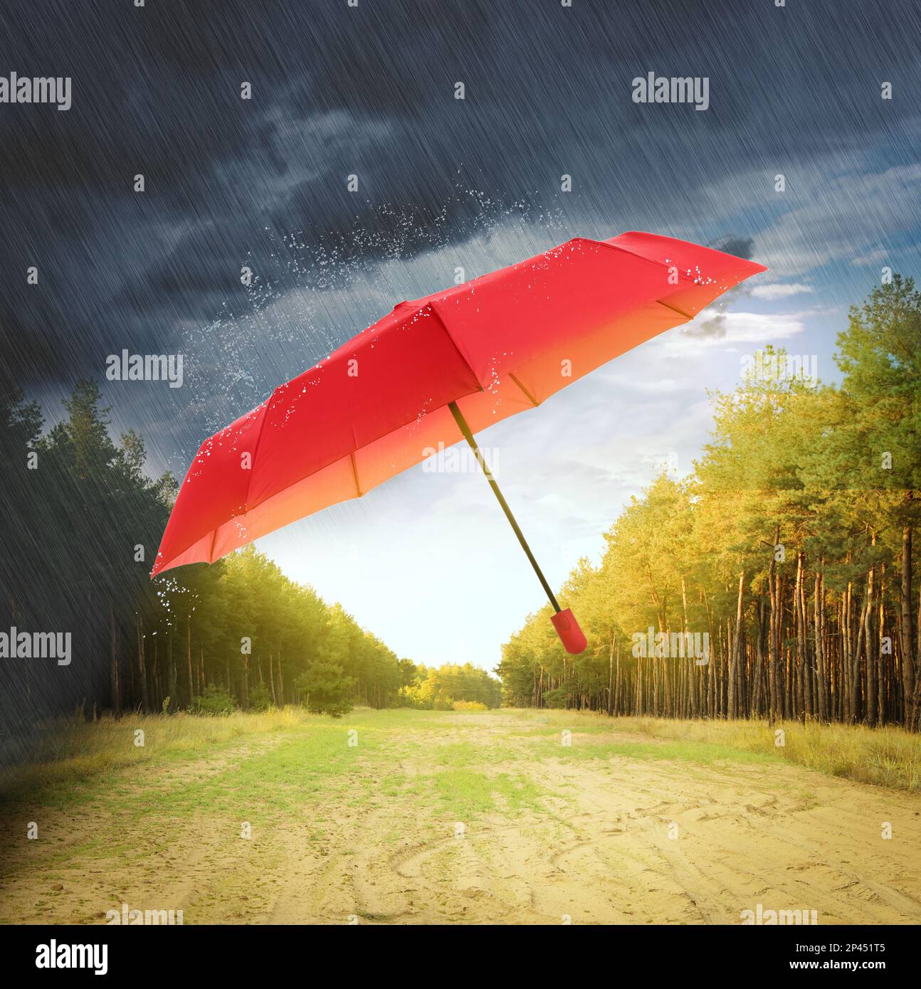 Open red umbrella under heavy rain in forest Stock Photo - Alamy