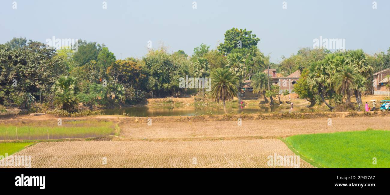 Panoramic village landscape view in sunset sunlight. Burdwan West ...