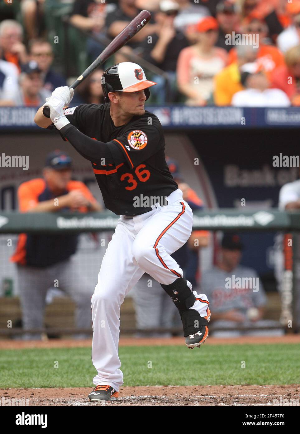 Baltimore Orioles catcher Caleb Joseph (36) at bat. Detroit Tigers vs ...